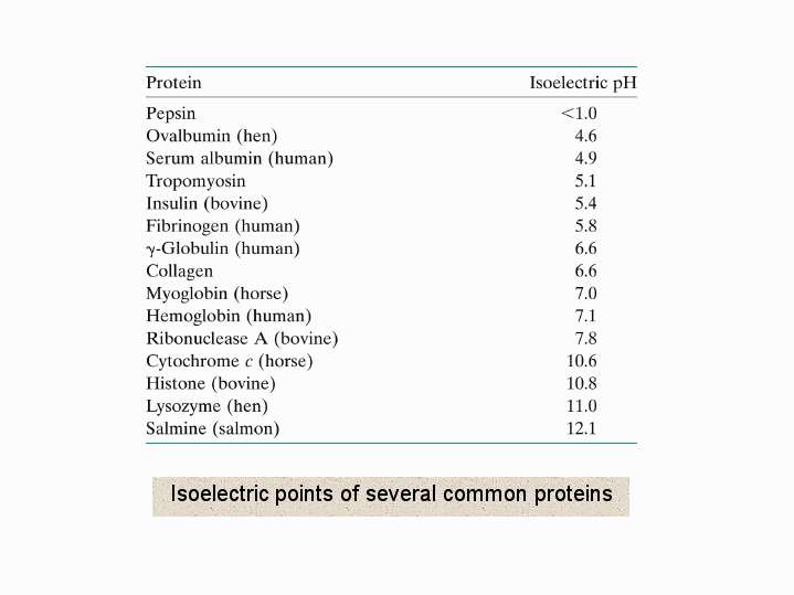 Isoelectric Points Of Several Common Proteins